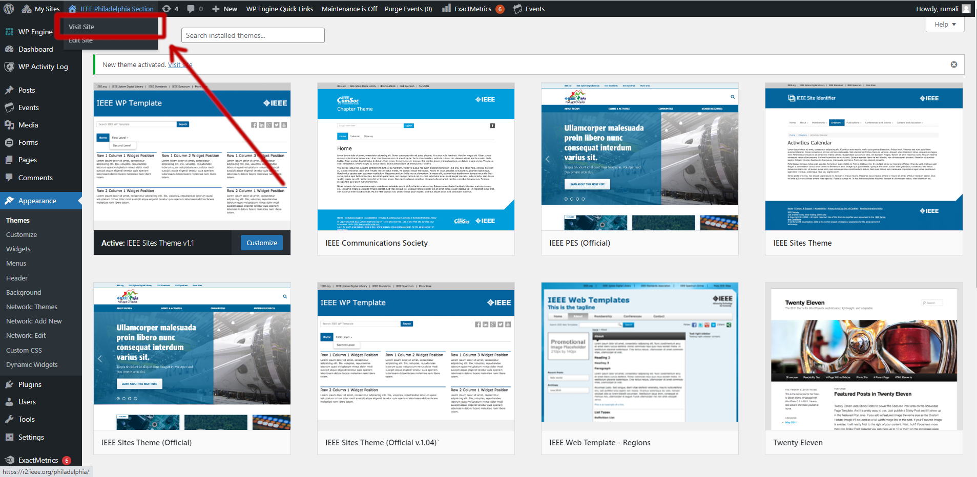 changing-wordpress-themes-ieee-entity-web-hosting-knowledgebase